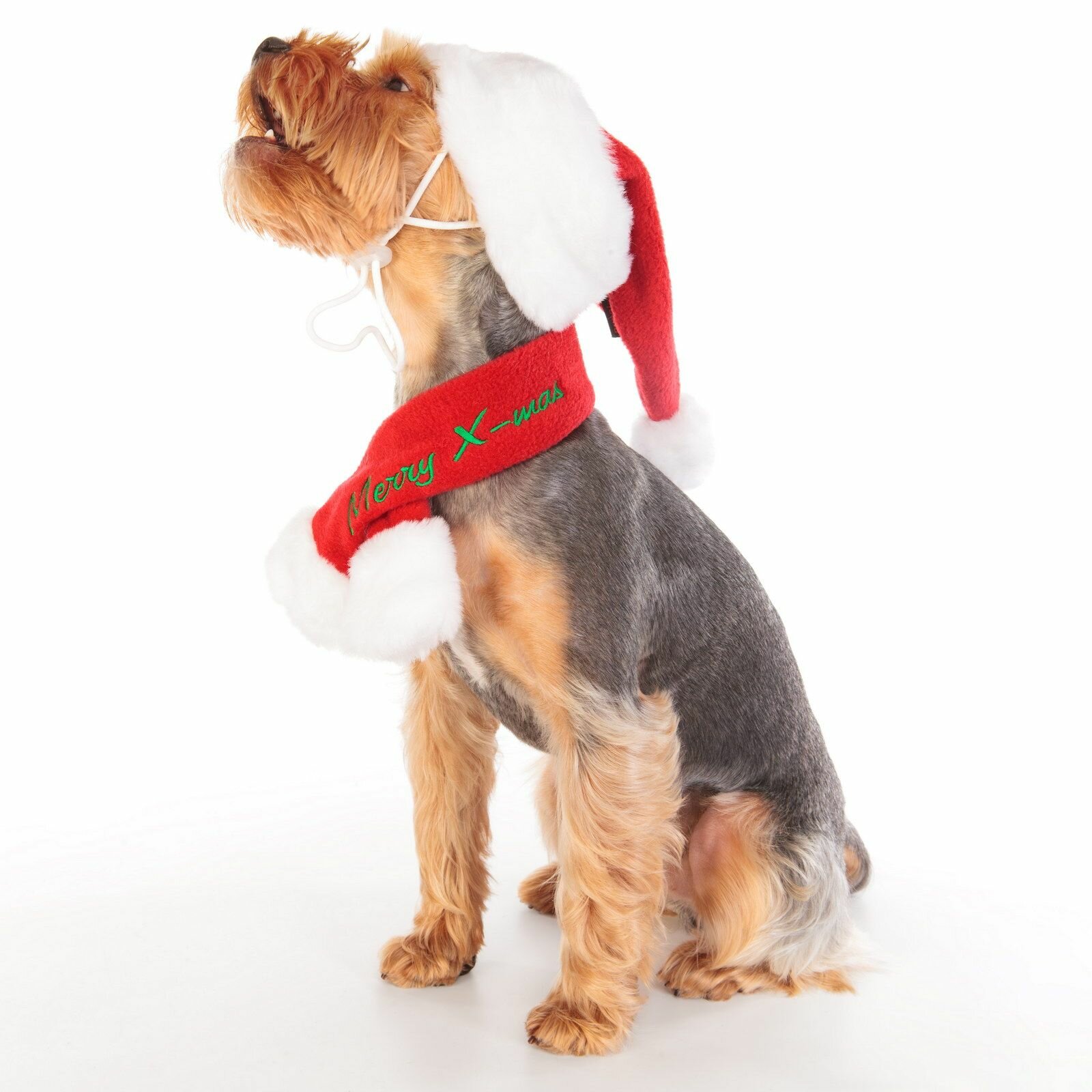 Шарфик для собак новогодний "Santa", красный