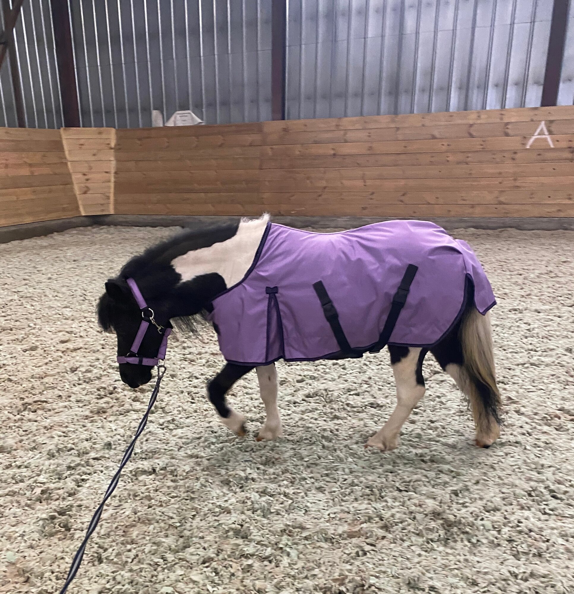 Дождевая попона для лошади