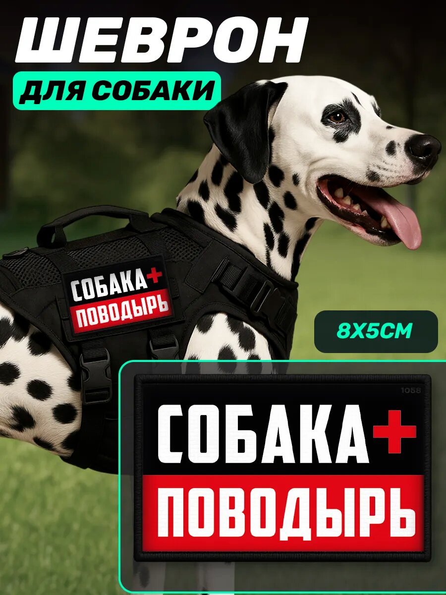 Шеврон на липучке для собак Поводырь