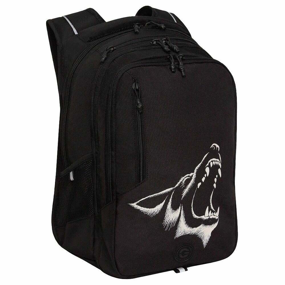 Рюкзак GRIZZLY (RU-538-4) 42*31*22см, цвет черный-белый, анатомическая спинка