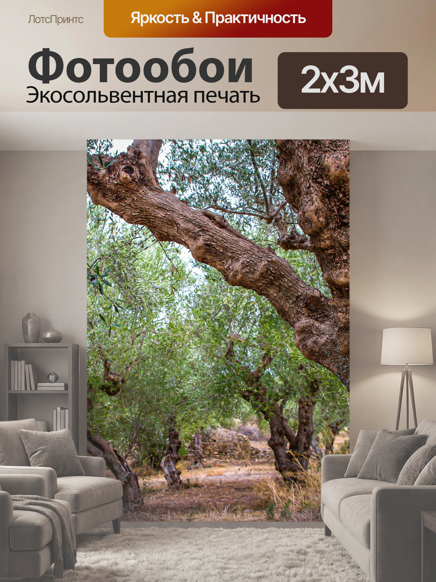 Фотообои "Оливковая роща, оливковое дерево, природа" 200x300 см. экосольвентная печать