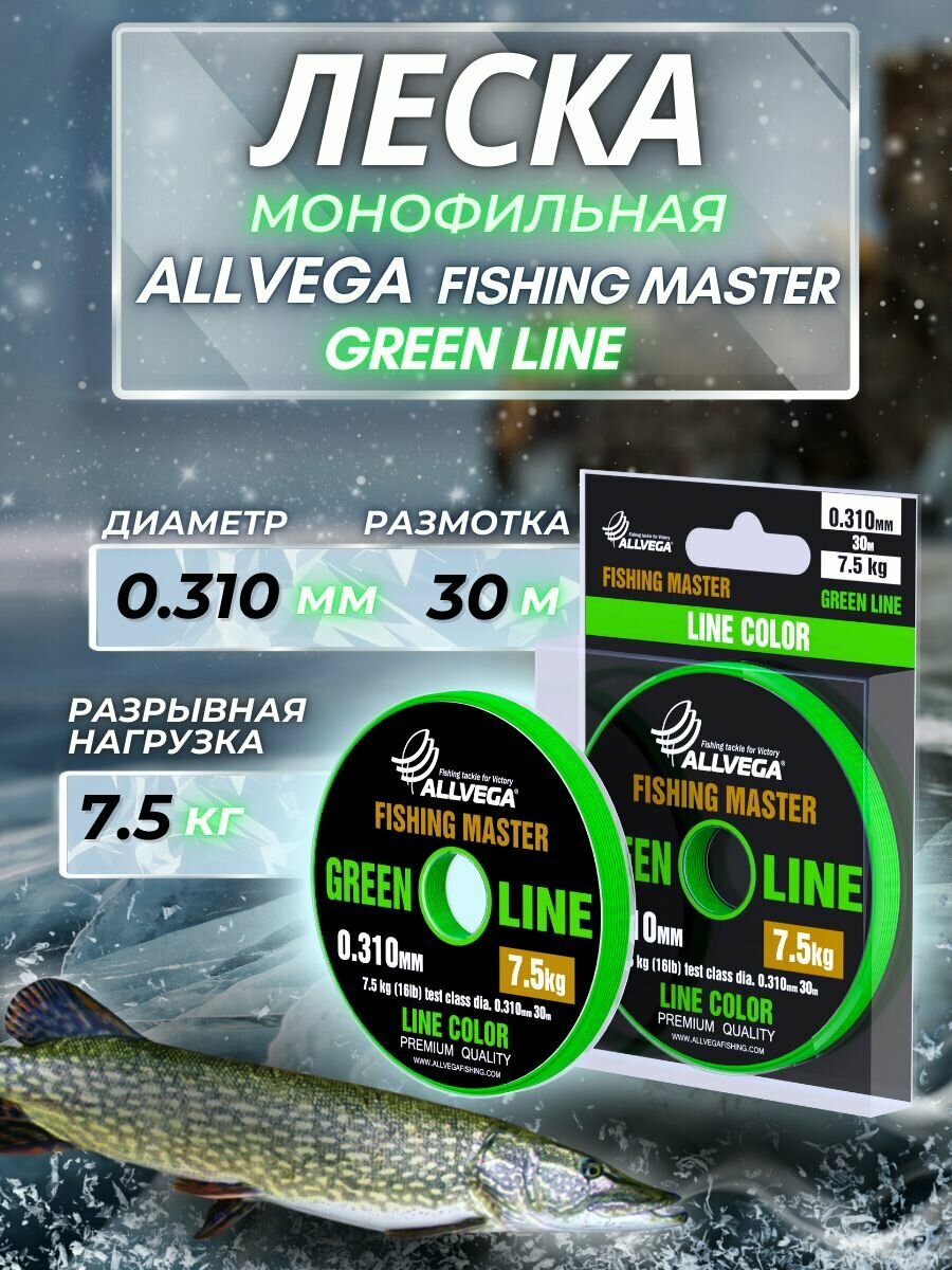 Леска для зимней рыбалки Fishing Master 0.31мм 30м 7.5кг зеленая