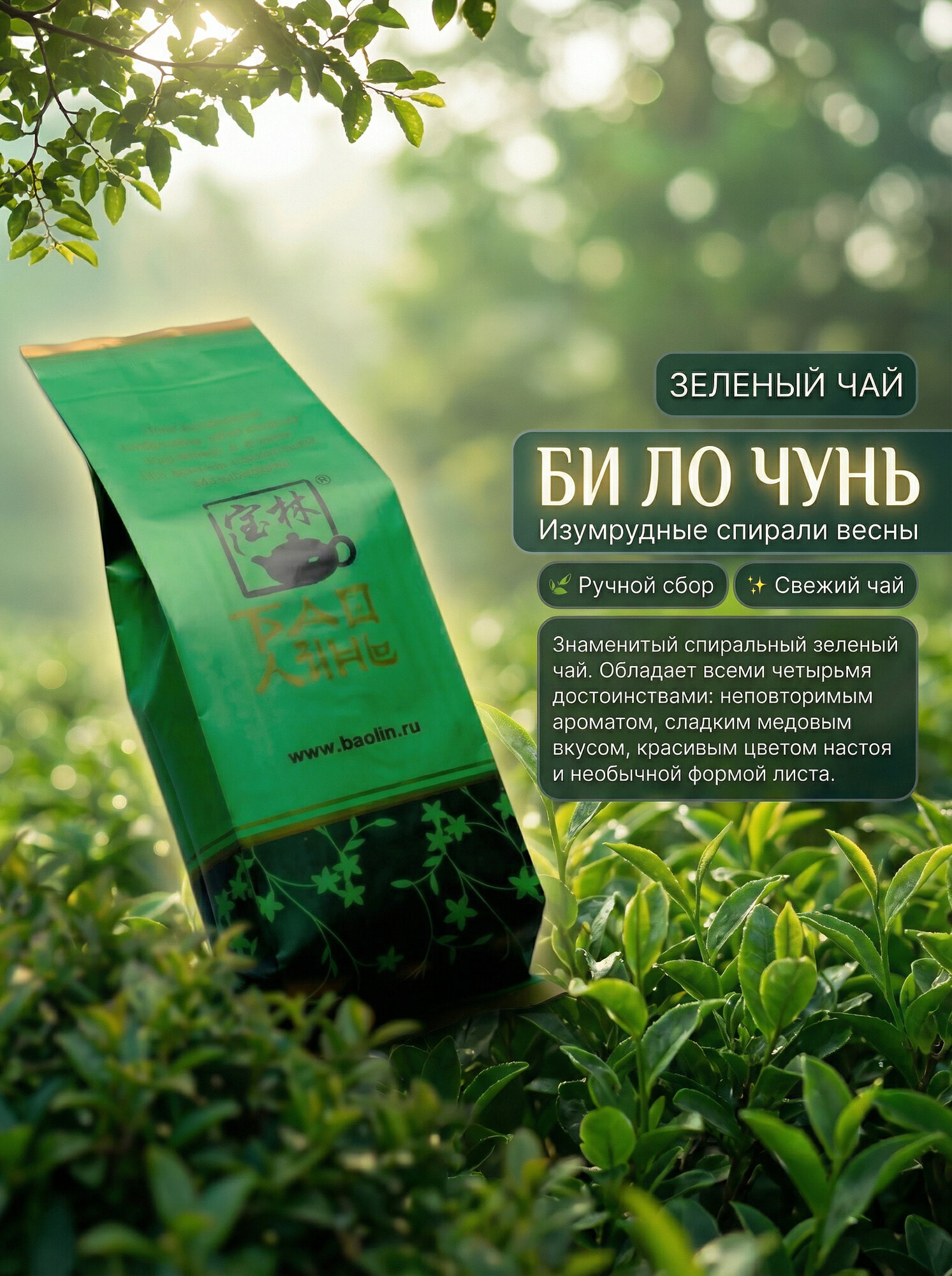 Чай зеленый. Изумрудные спирали весны (Би Ло Чунь). 50 гр.