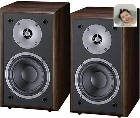Пассивная акустическая система Magnat Monitor Supreme 102 HIFI