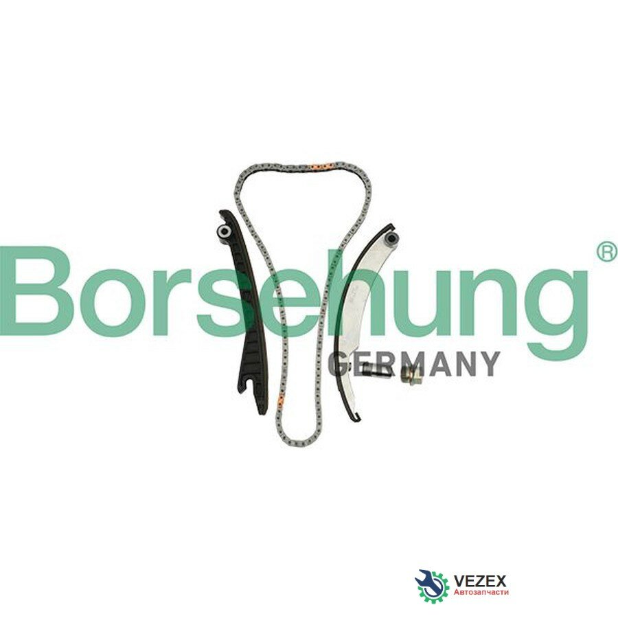 BORSEHUNG B18856 Цепь ГРМ с натяжителями, комплект