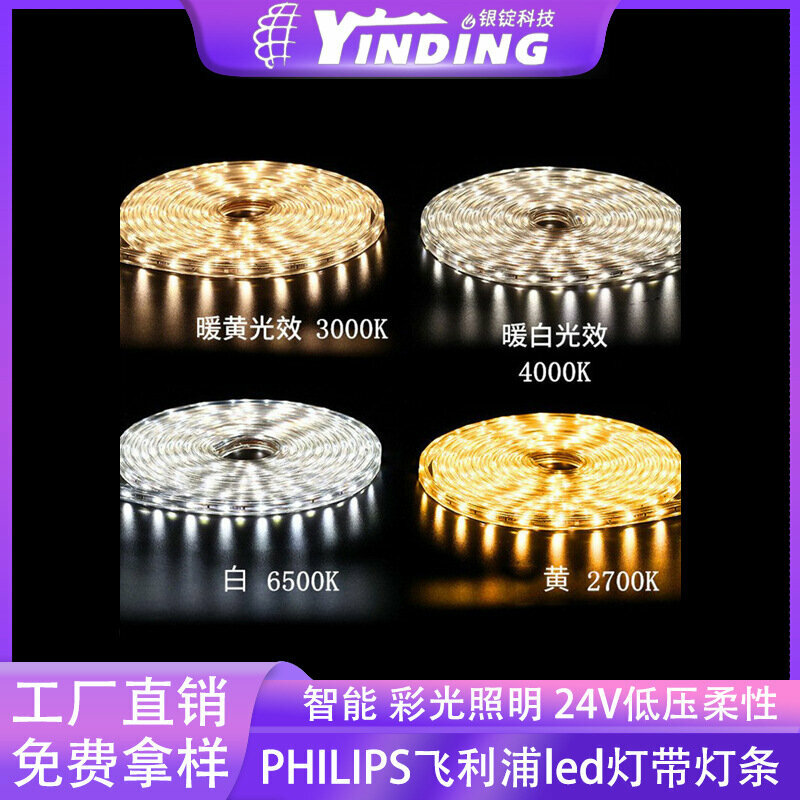 Philips LS155 G3 светодиодная гибкая лента 6500K холодный белый низковольтная высокая яркость для спальни