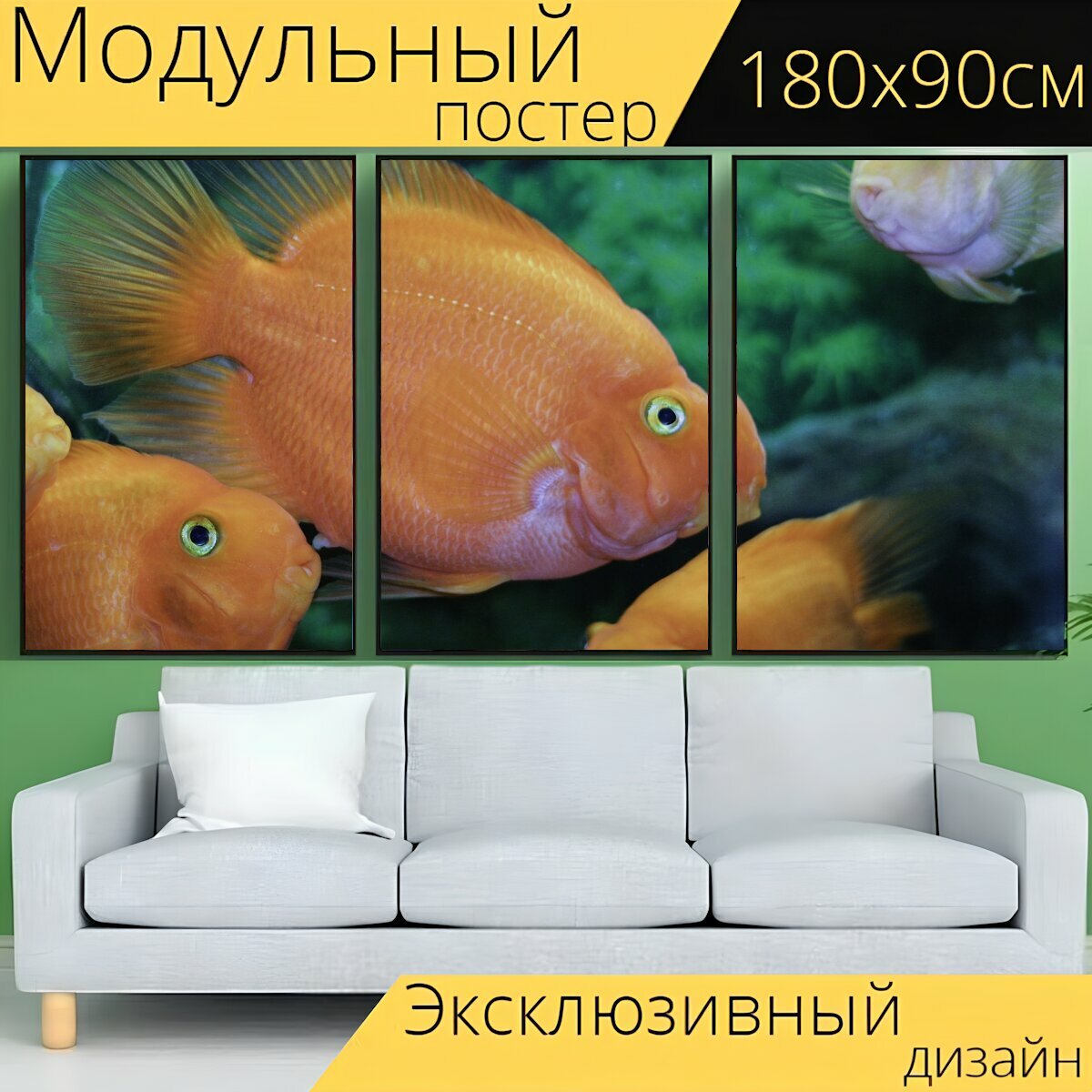 Модульный постер "Рыбы, апельсин, тропическая рыба" 180 x 90 см. для интерьера на стену в тубусе