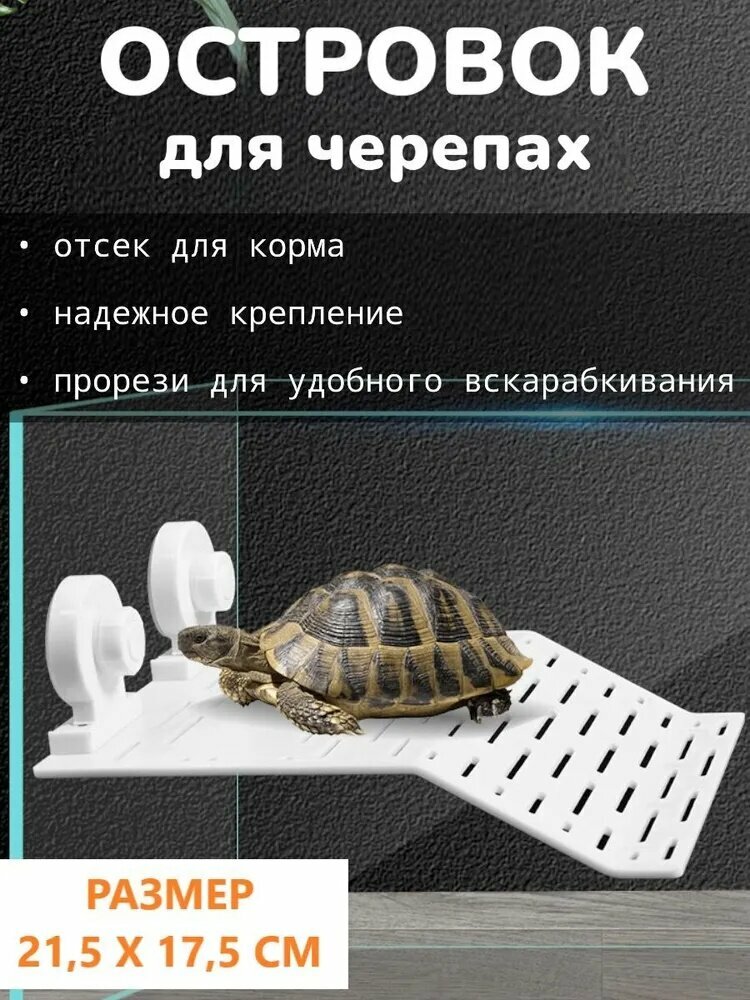 Островок для черепахи в аквариум, мостик на присосках, плот для черепах с отсеком для корма, большой, цвет белый, размер 21,5 х 17,5 см