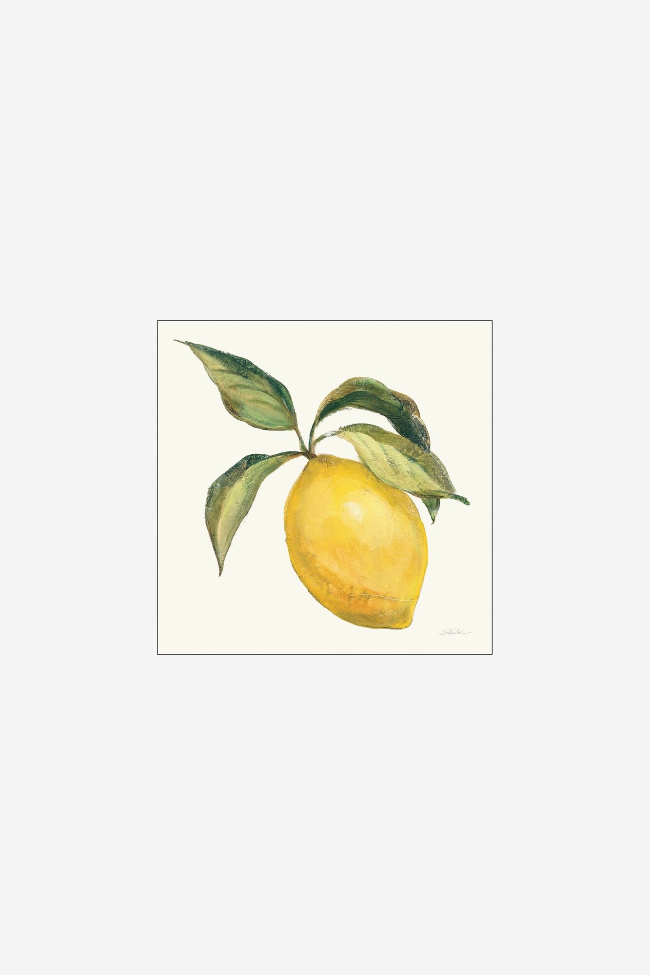 Плакат H&M 50X50 см Wild Apple - Le Citron On Cream