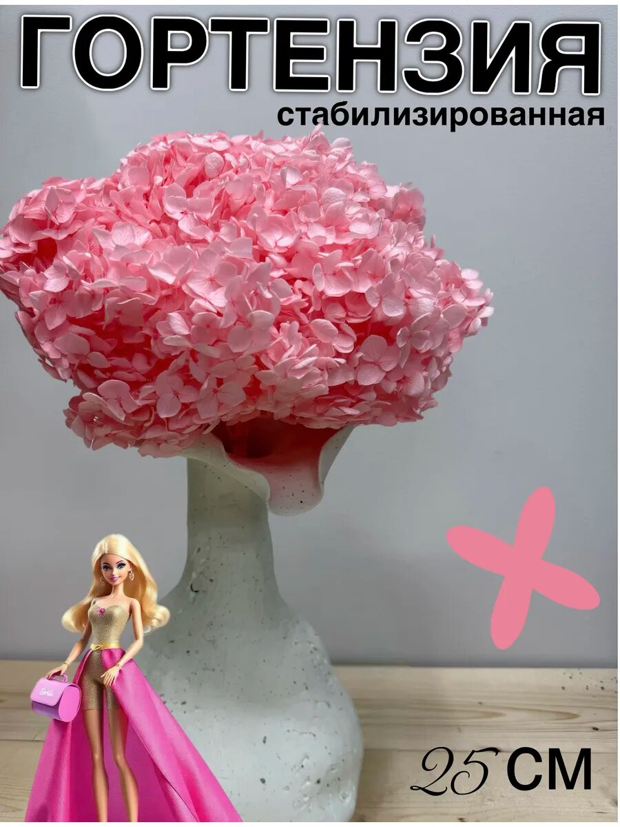 Гортензия стабилизированная сухоцветы для декора растения на стебле