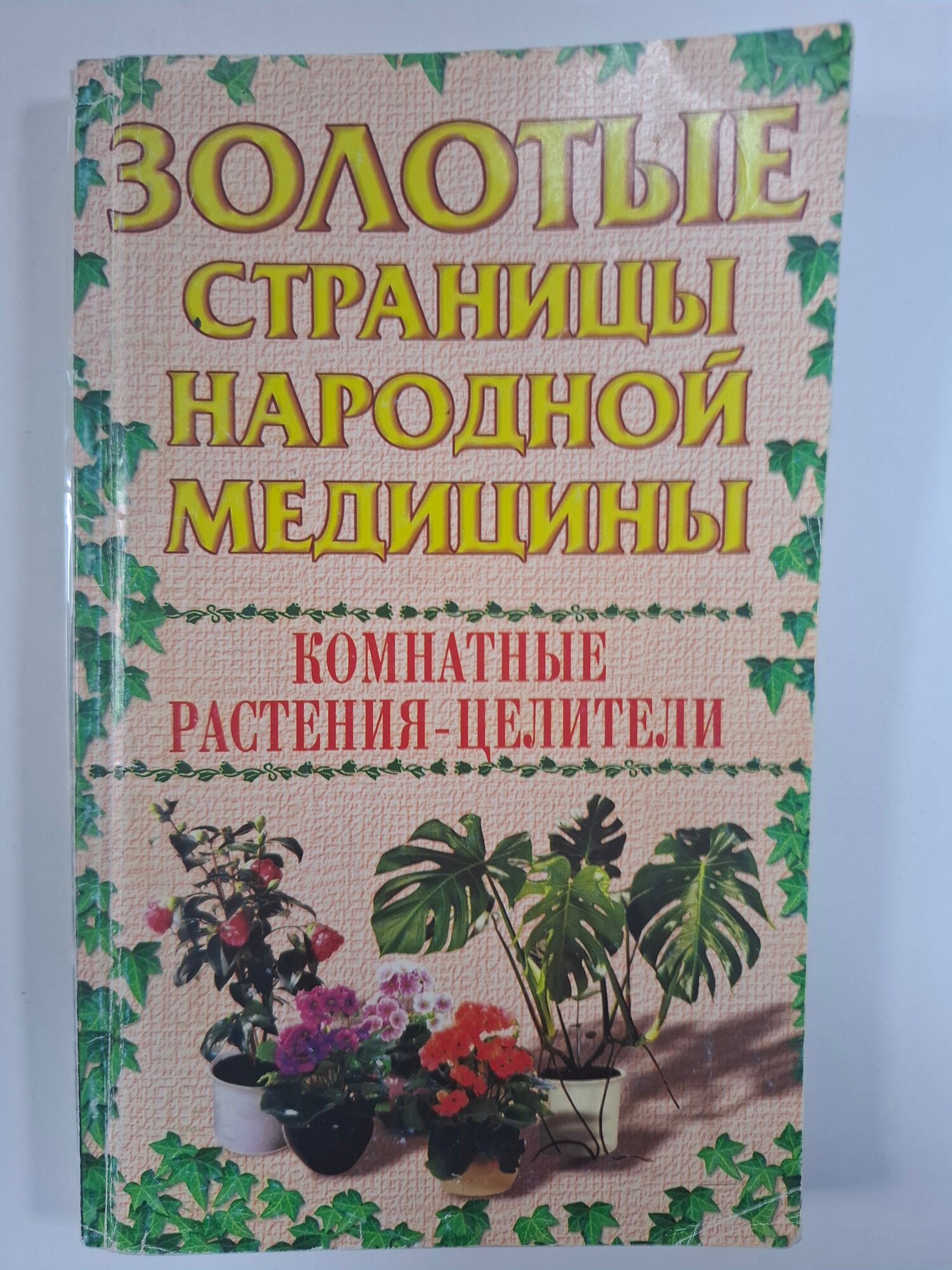 Комнатные растения целители