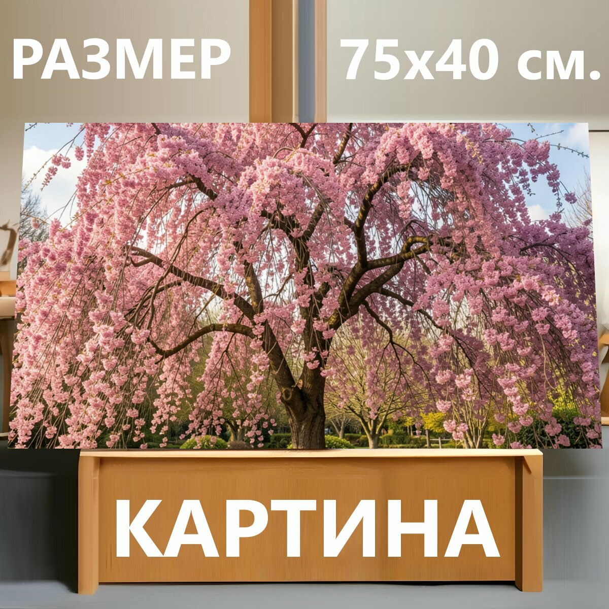 Картина на холсте "Цветущее розовое дерево в саду. Пышное весеннее дерево с ниспадающими розовыми кистями на фоне голубого неба и облаков." на подрамнике 75х40 см. для интерьера
