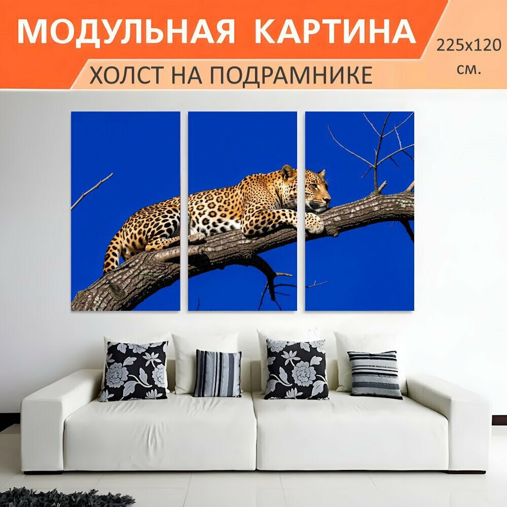 Модульная картина на холсте "Леопард на сухом дереве. Хищная дикая кошка отдыхает на изогнутом стволе, яркий контраст пятнистой." триптих на подрамнике 225х120 см. для интерьера