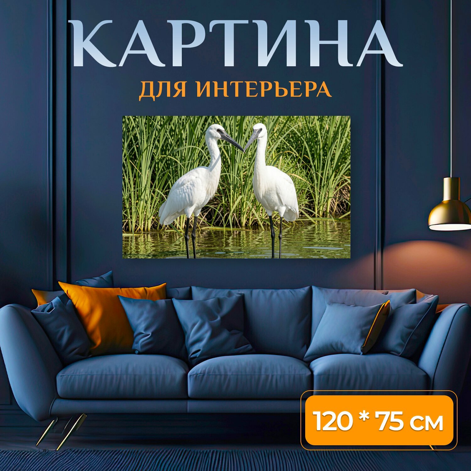 Картина на холсте "Две белые цапли с длинными черными ногами и острыми клювами стоят в мелкой воде на фоне густой зеленой травы и камышей." на подрамнике 120х75 см. для интерьера
