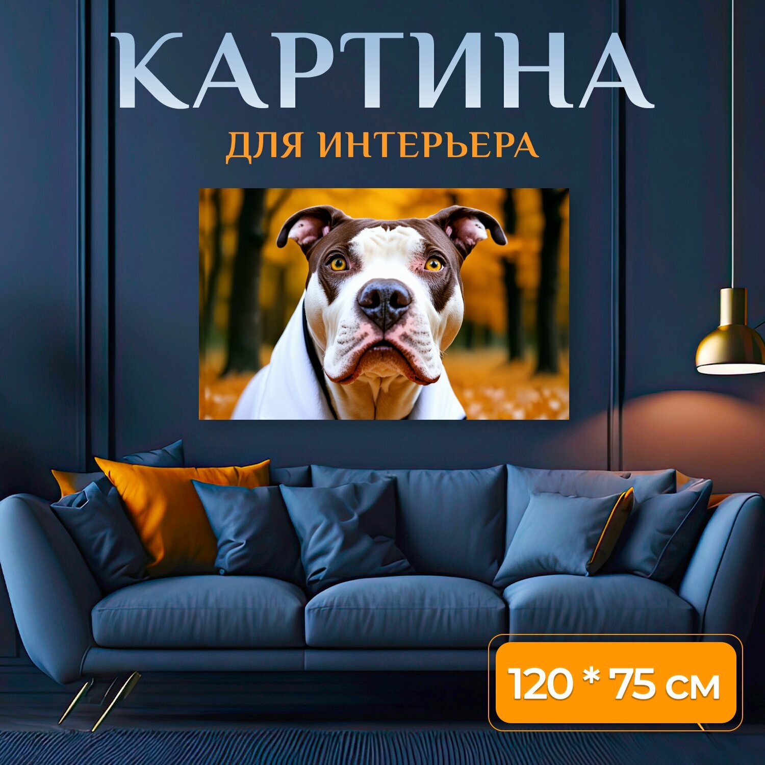 Картина на холсте "Крупный план головы собаки породы питбуль с белым окрасом, виляющими ушами и пронзительными желто-коричневыми глазами, на." на подрамнике 120х75 см. для интерьера