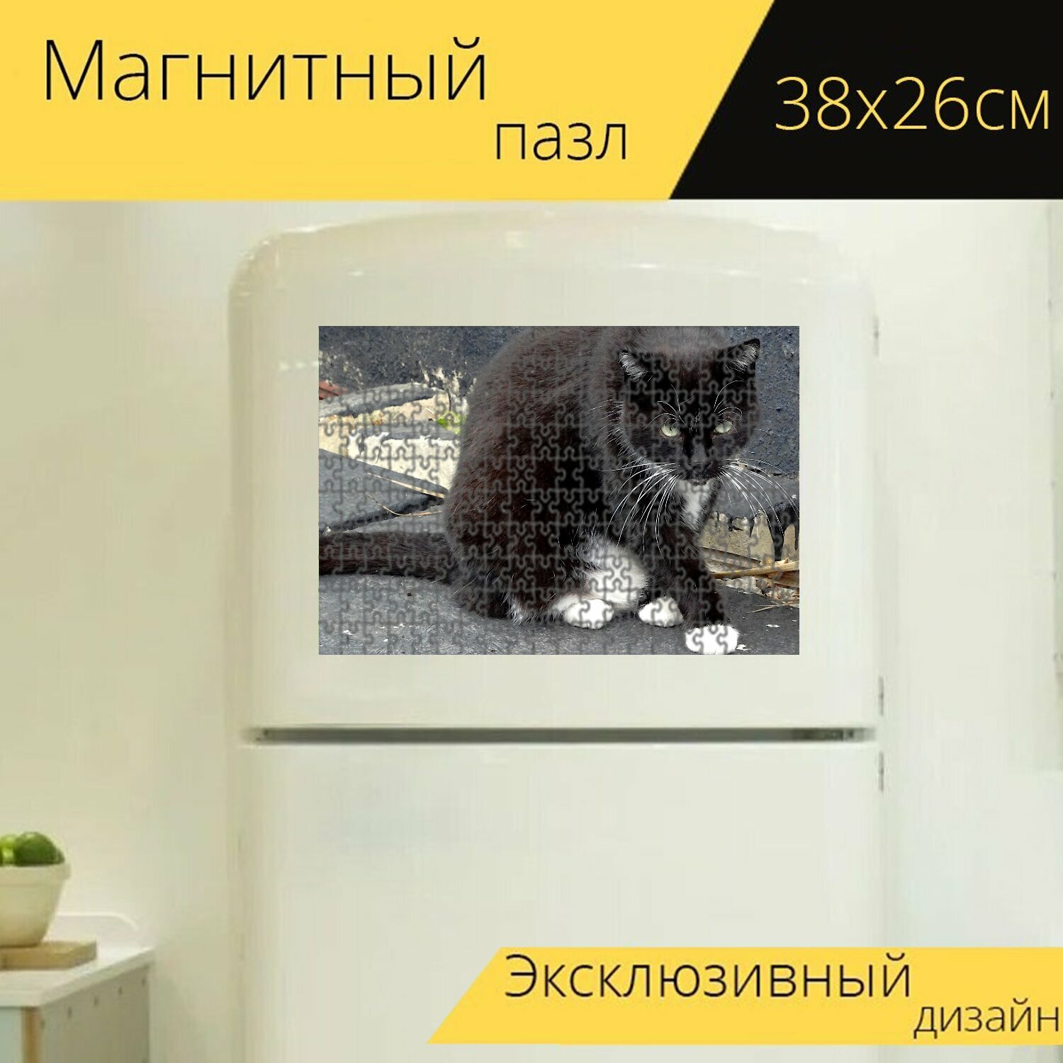 Магнитный пазл "Черный и белый кот Черно-белая кошка 070719 кошка коты котенок котята кошачий кошачьих животное животные Китти черный белый" для интерьера, 38х26 см.