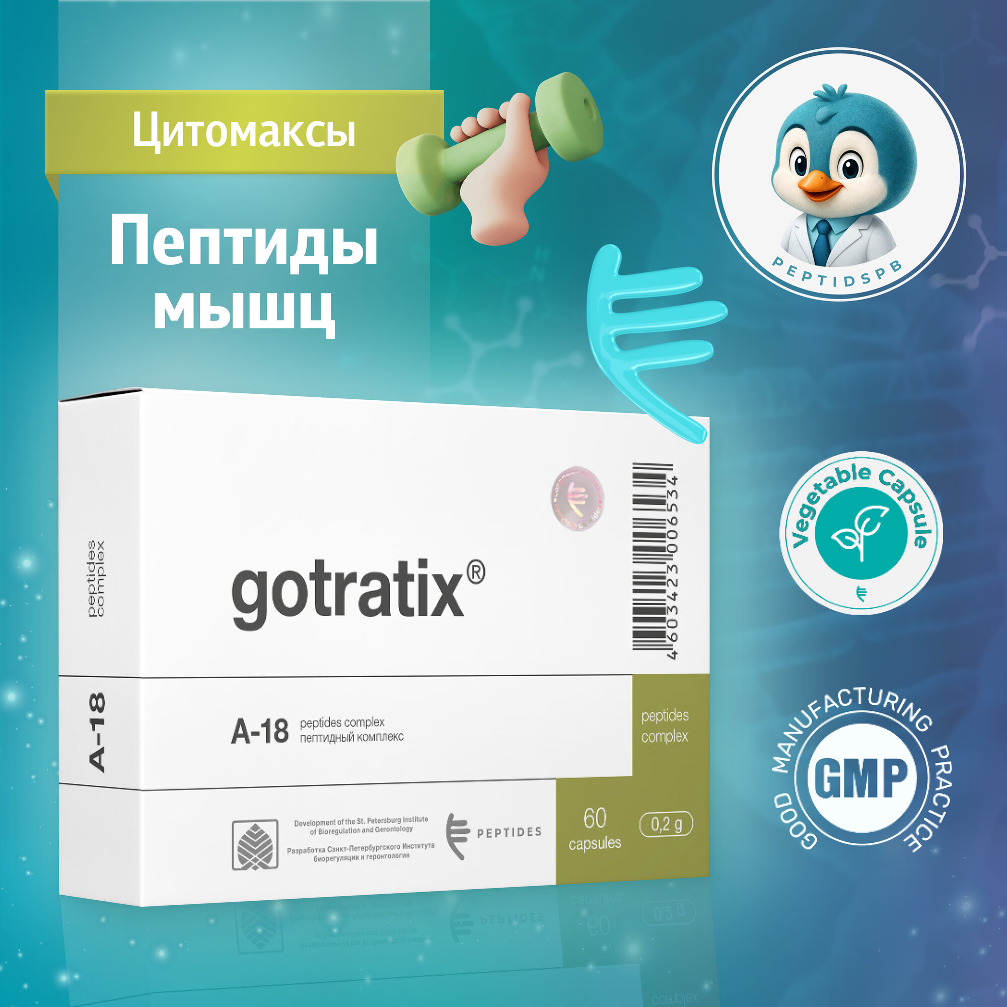 Готратикс N60 - пептидный комплекс для поддержки мышечной системы и снижения утомляемости (60 капсул)