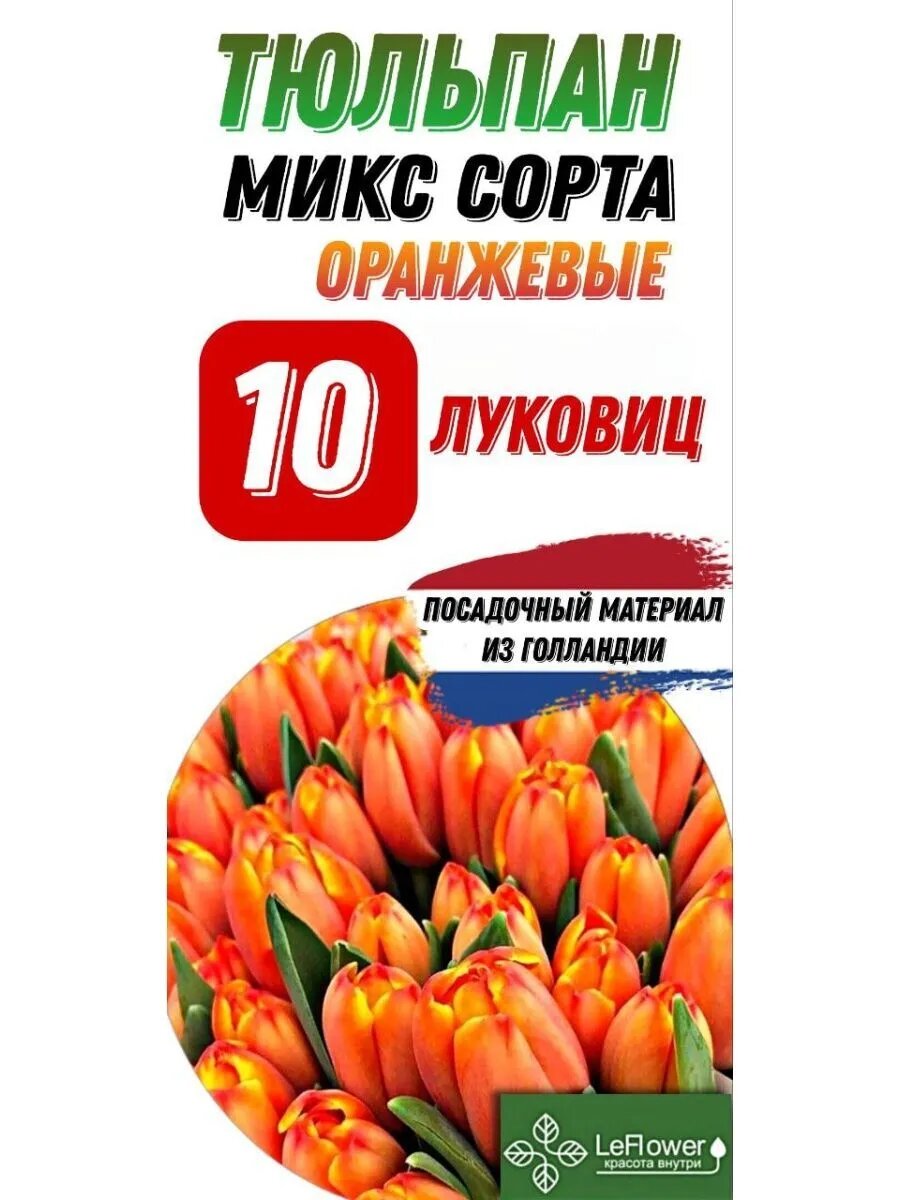 Тюльпан Луковица, Микс оранжевых сортов, 10шт
