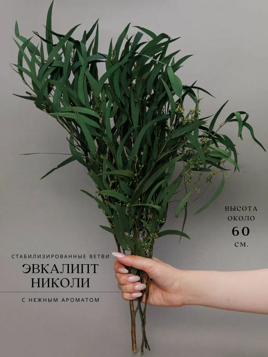 Стабилизированные цветы