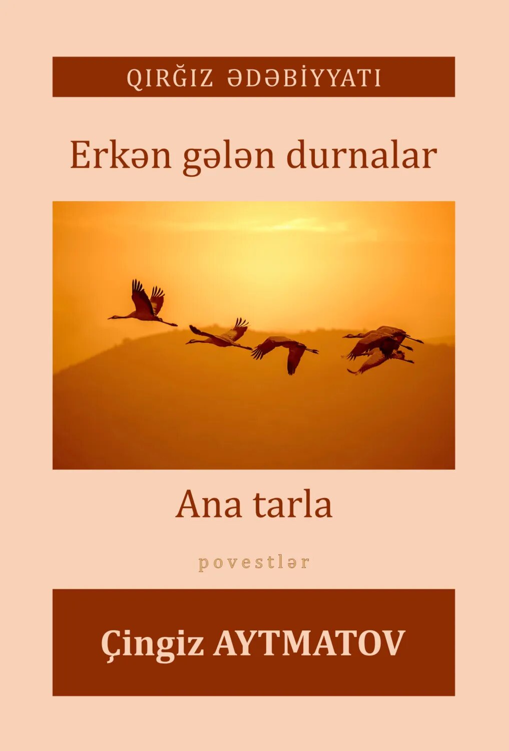 Erkən gələn durnalar, Ana tarla [Цифровая книга]