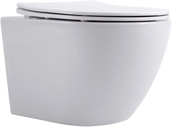 Унитаз подвесной Aquanet Cetus 249710 с микролифтом, безободковый, без бачка, фаянсовый, белый, глянцевый, овальный, сиденье для унитаза в комплекте