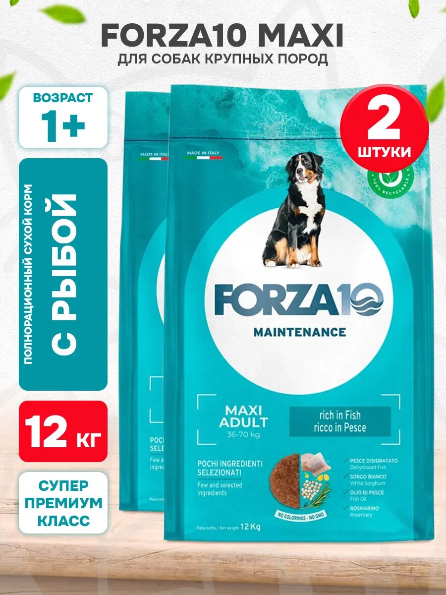 Корм сухой Forza10 Dog Maintenance Adult Maxi для взрослых собак крупных пород с рыбой, 12 кг х 2 шт