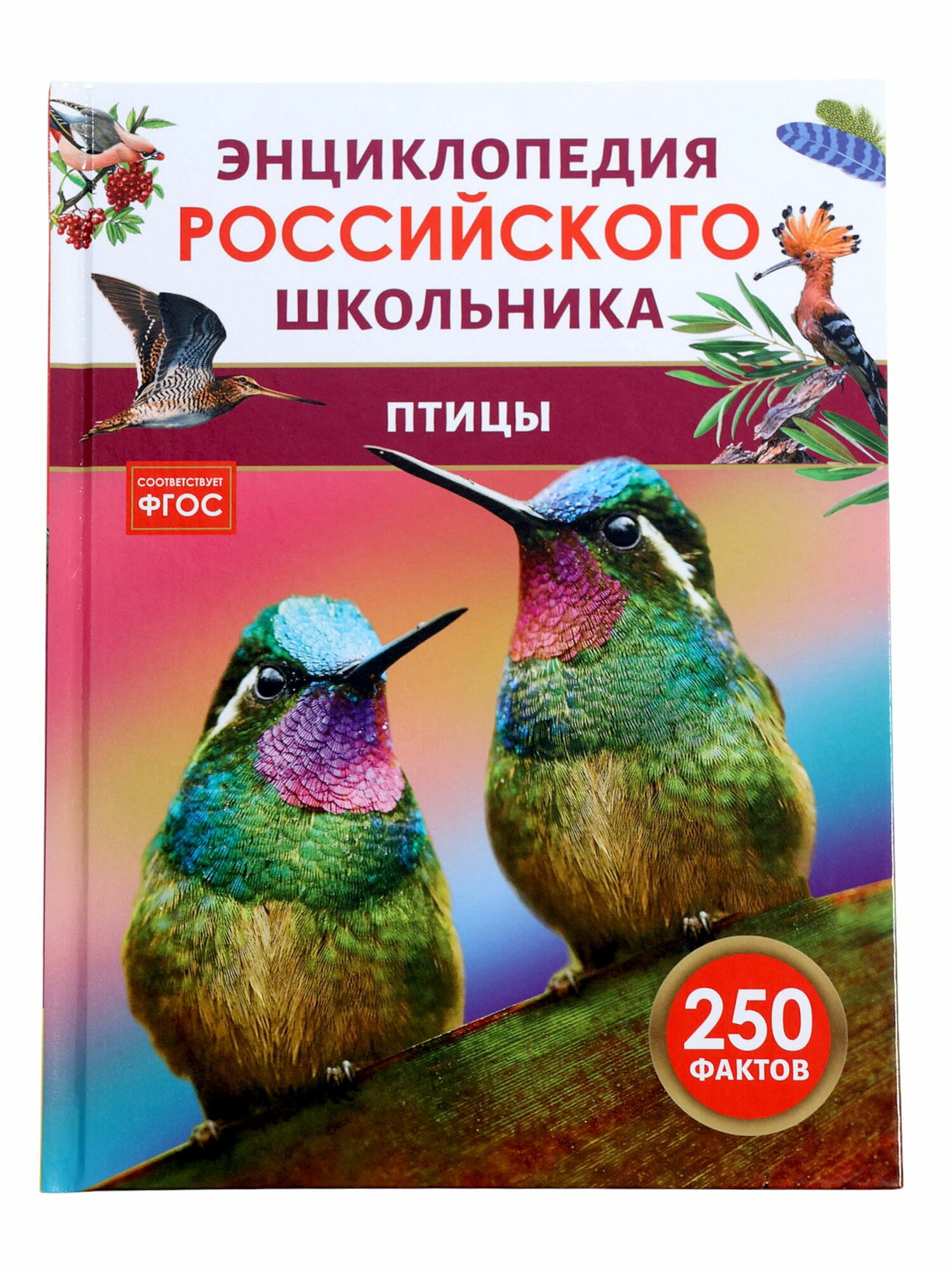 Энциклопедия российского школьника "Птицы", возраст: от 7 лет