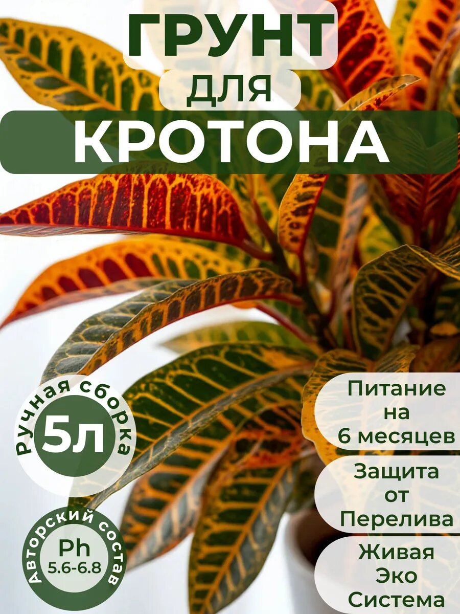 Готовый авторский грунт для Кротона, премиум 5 литров