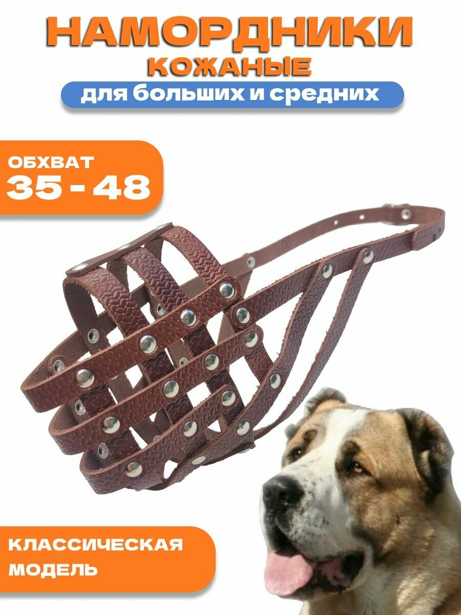 Намордник для алабая