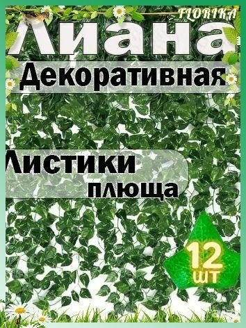 Искусственные цветы Адромискус 12 шт зеленый