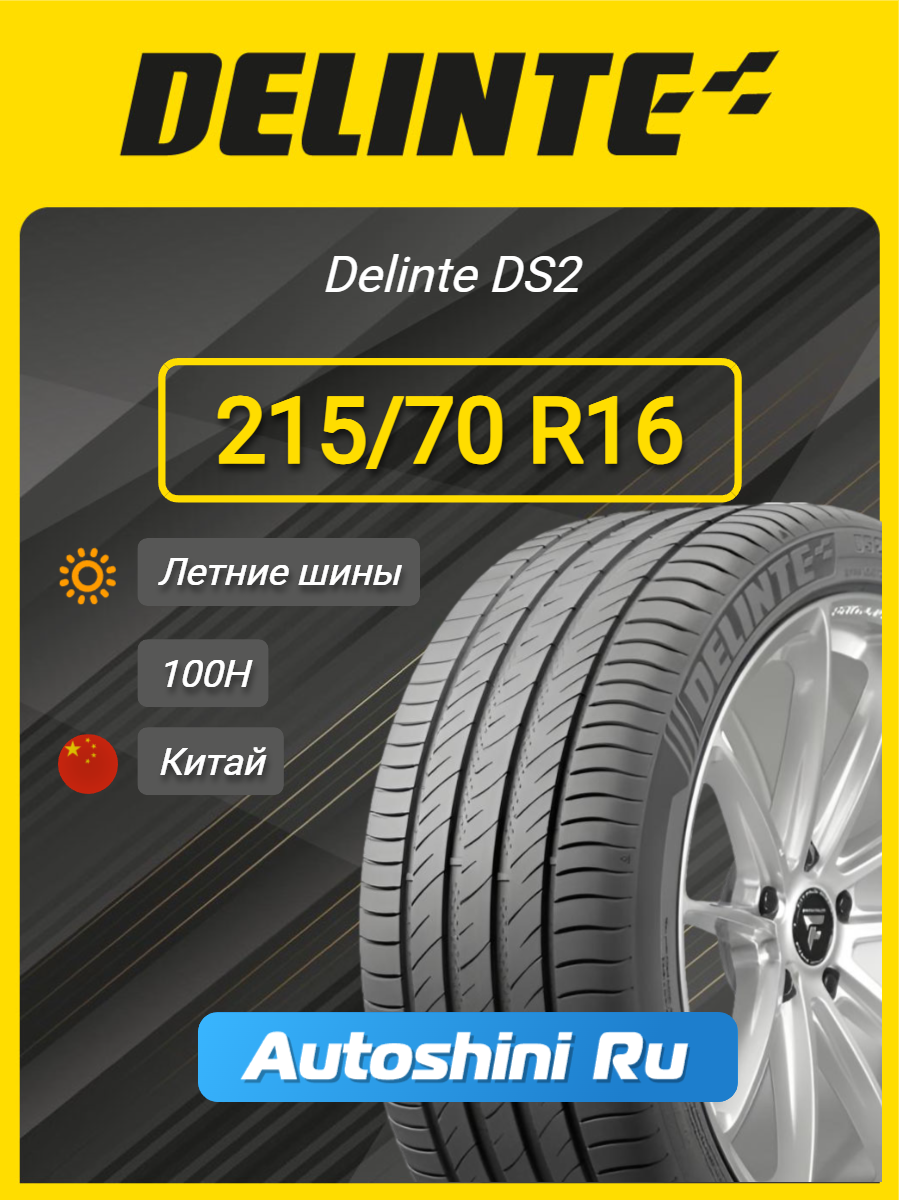 Шины летние Delinte DS2 215/70 R16 100H