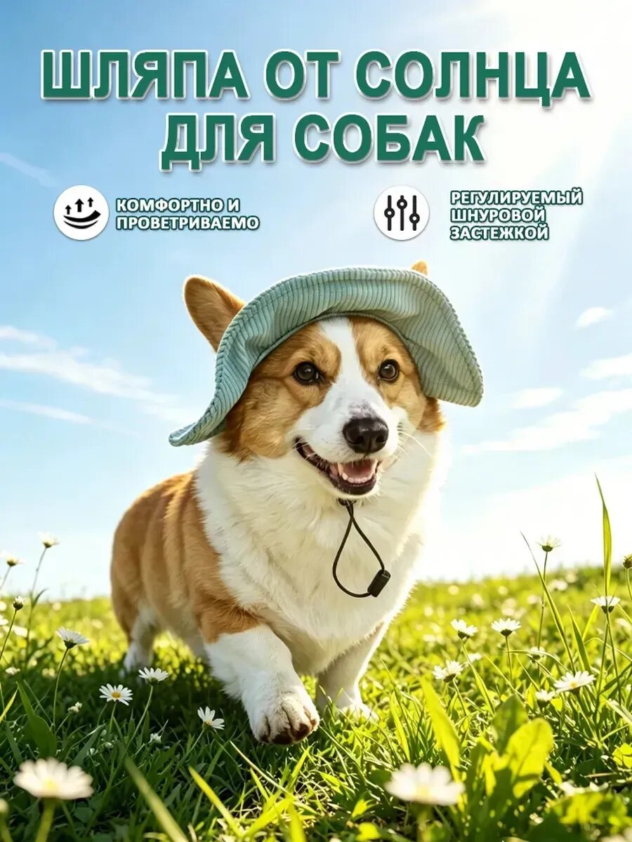 Панама для собак