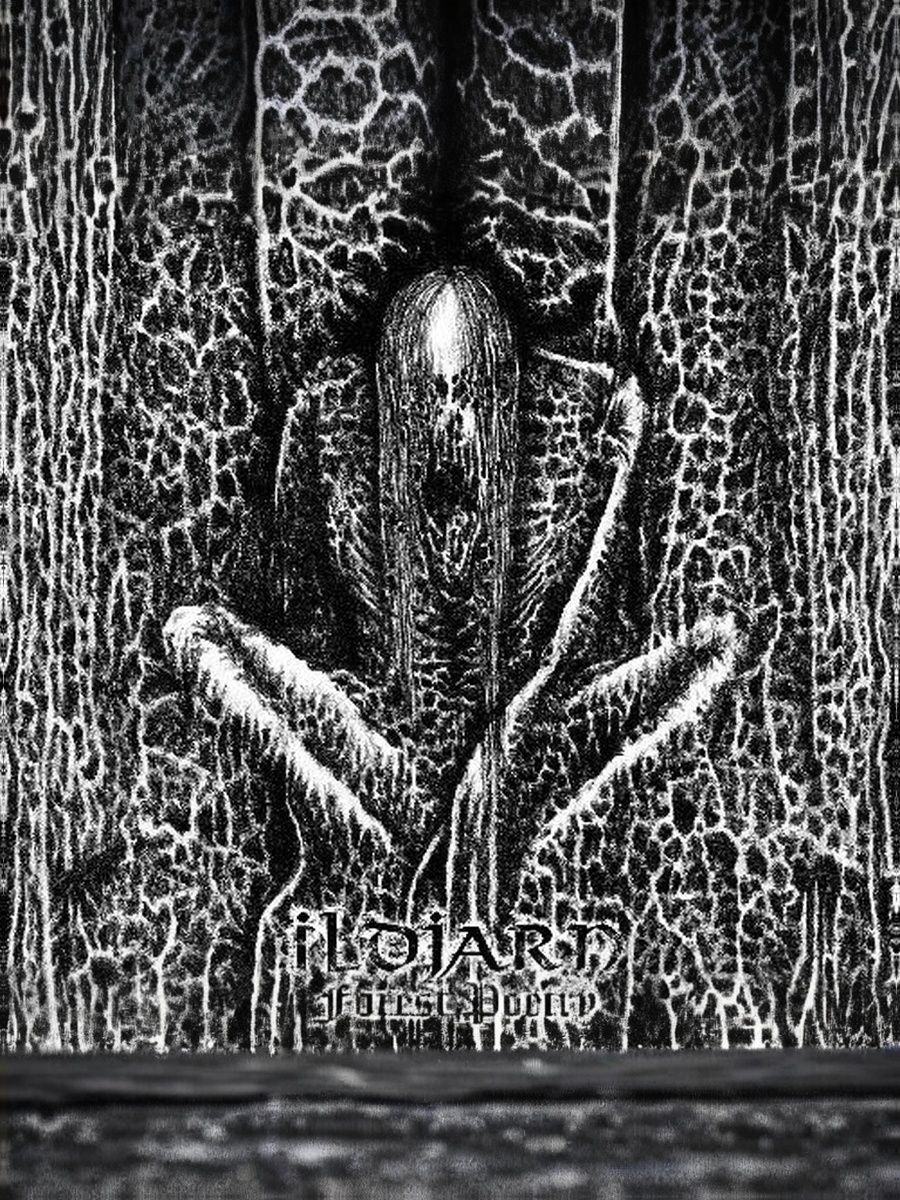 Ildjarn - Forest Poetry, музыкальный компакт диск Season Of Mist (black metal)