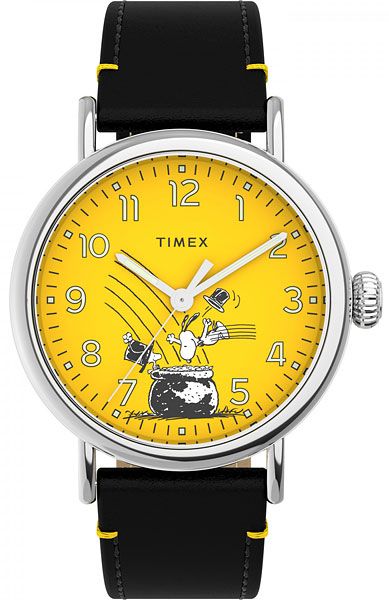 Наручные часы TIMEX