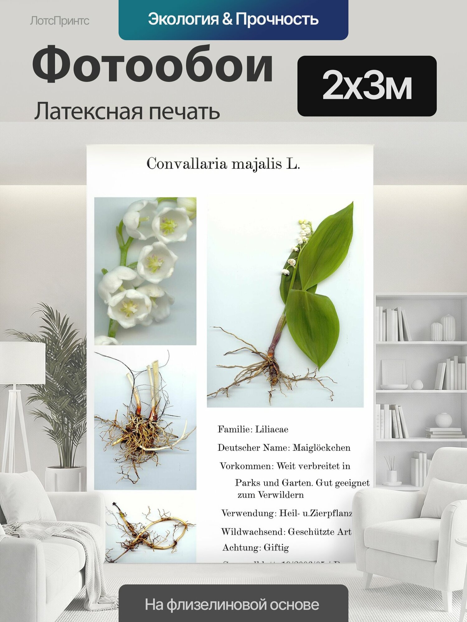 Фотообои моющиеся ударопрочные "Оцифрованный гербарий, сканер, цветок" 200x300 см. латексная печать