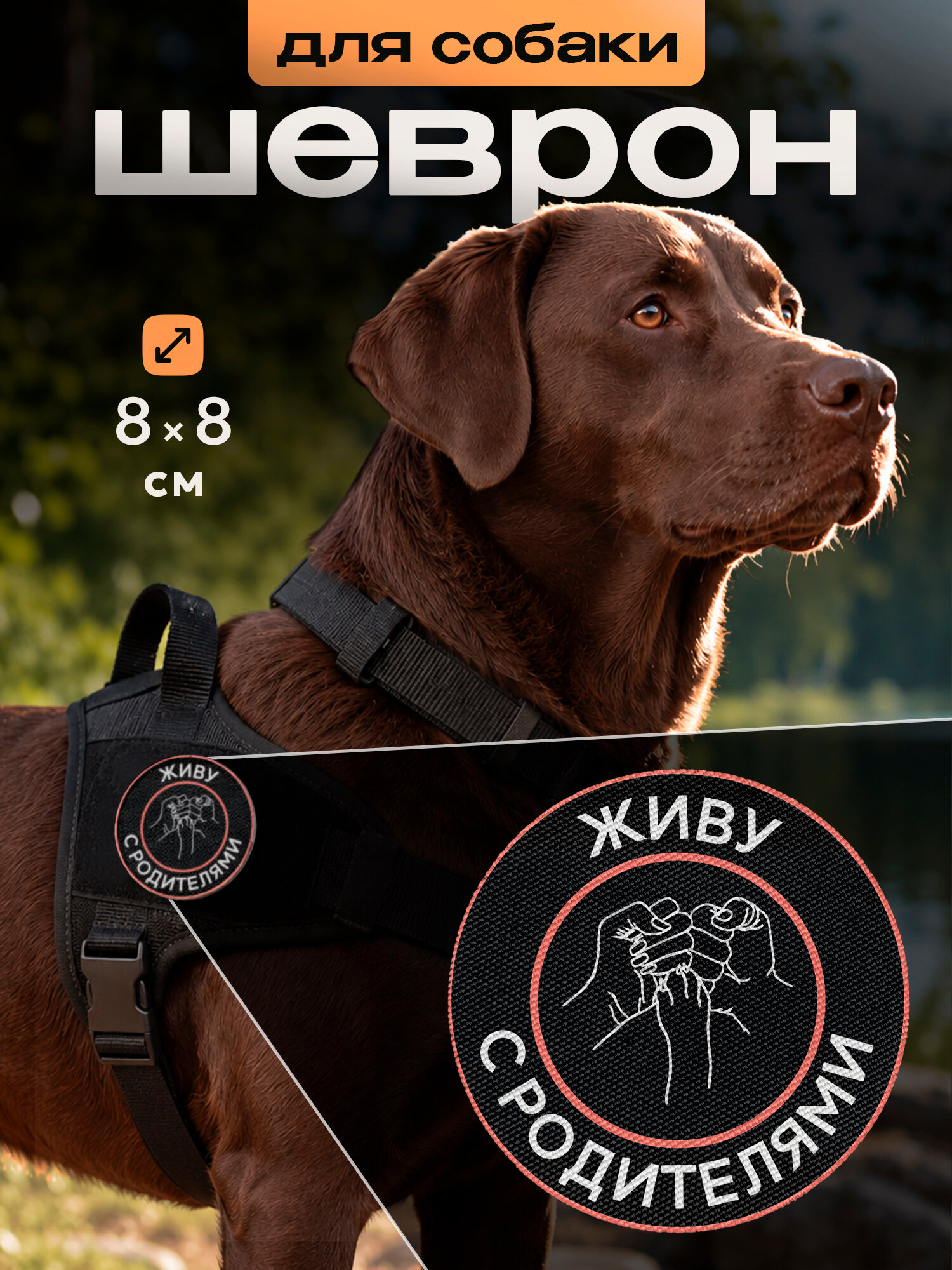 Шеврон IREVIVE кожаный, круглый 8 см, Живу с родителями , на липучке, для формы, военному