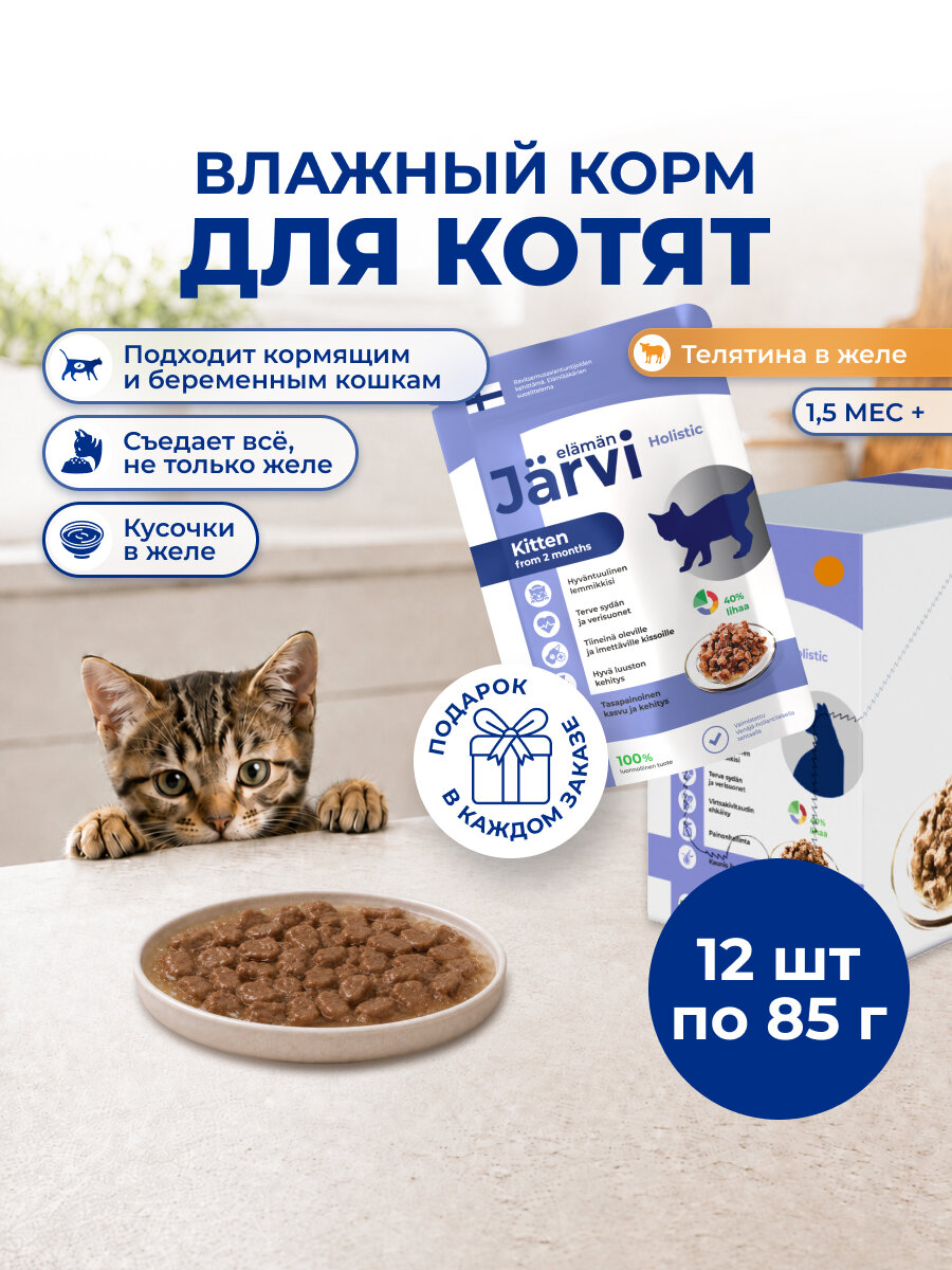 Влажный корм Jarvi для котят и беременных кошек с телятиной (кусочки в желе), 85 г х 12 шт.