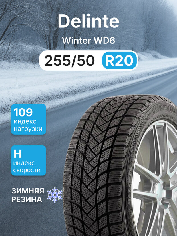 Зимняя нешипованная шина Delinte Winter WD6 255/50 r20 109H