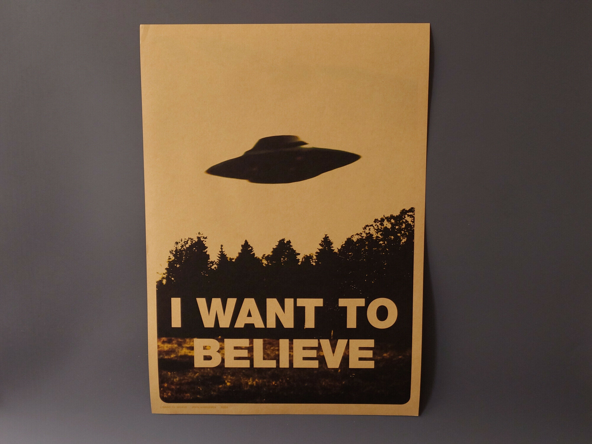 Плакат «I Want To Believe» (50х35)
