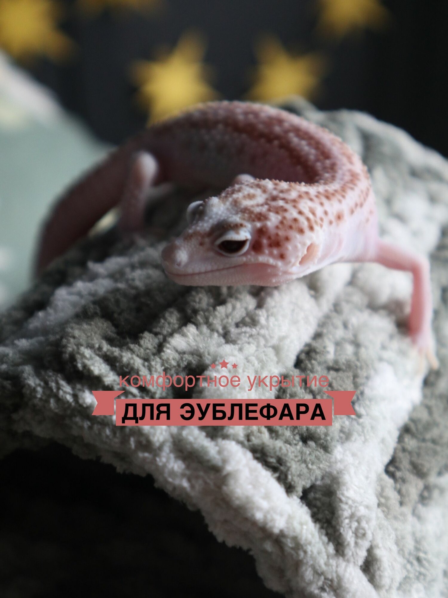 Мягкое укрытие домик для рептилий, эублефара. размер S - 12х14х5,5 бело-зеленое