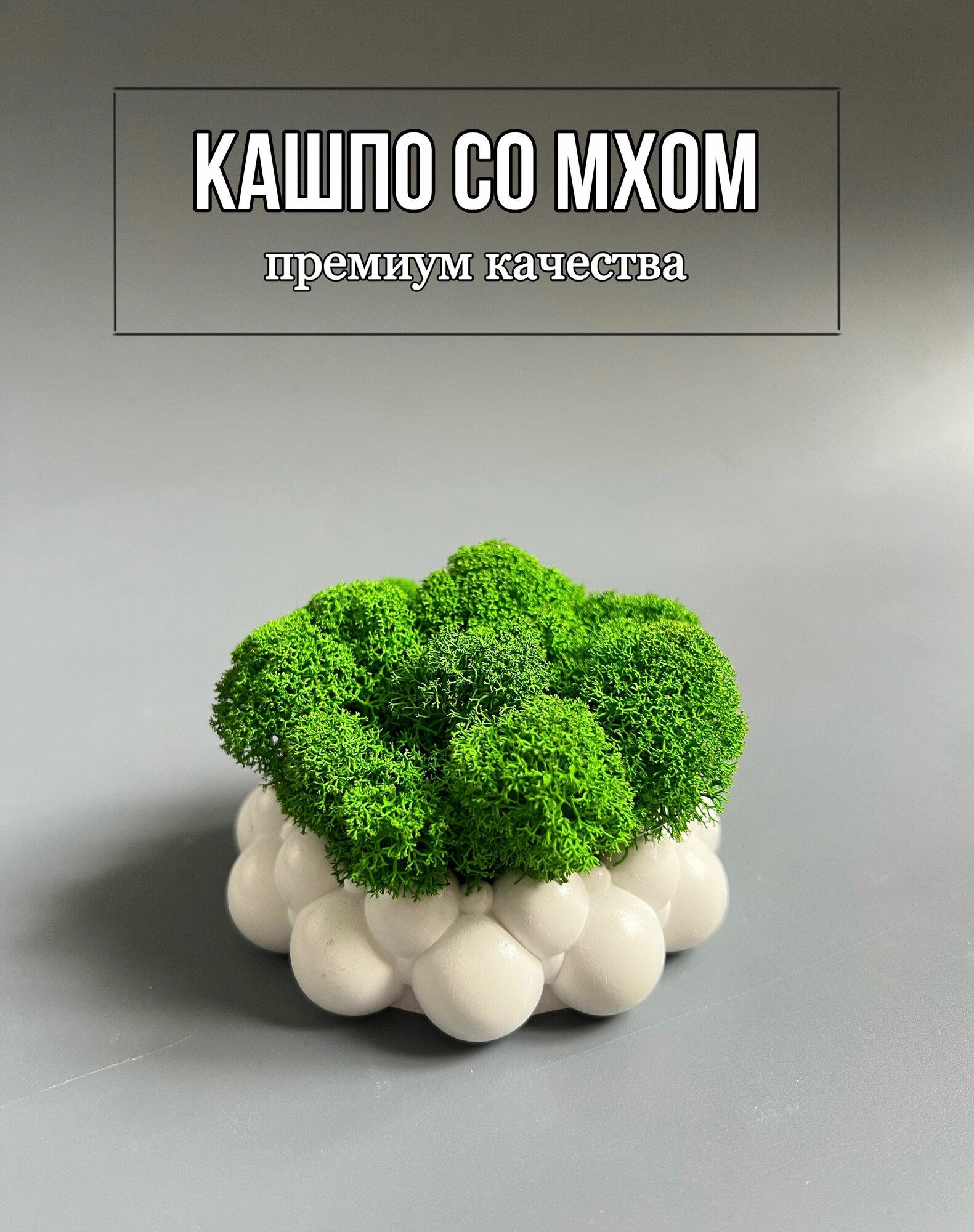 Кашпо со мхом 1 шт. Декоративное украшение со стабилизированным мхом