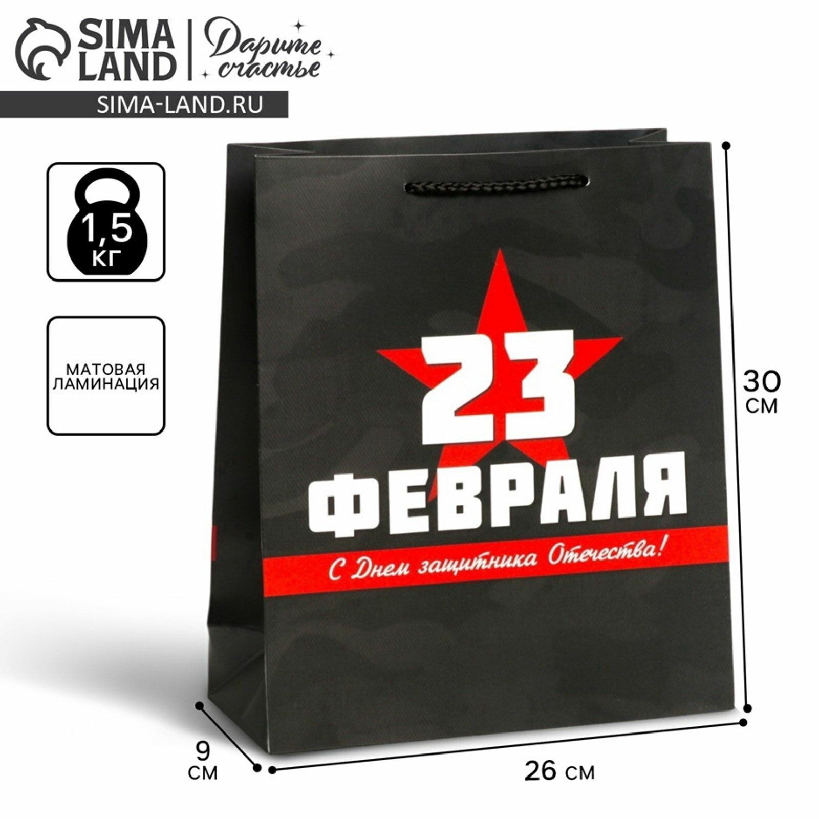 Пакет подарочный ламинированный, упаковка, "С 23 февраля", M 26x30x9 см