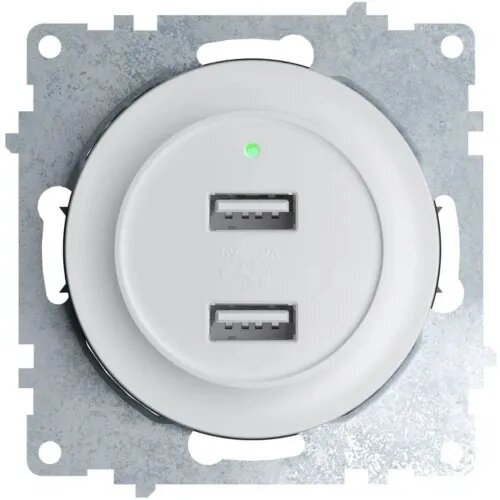 Розетка USB двойная OneKeyElectro, с подсветкой, цвет белый