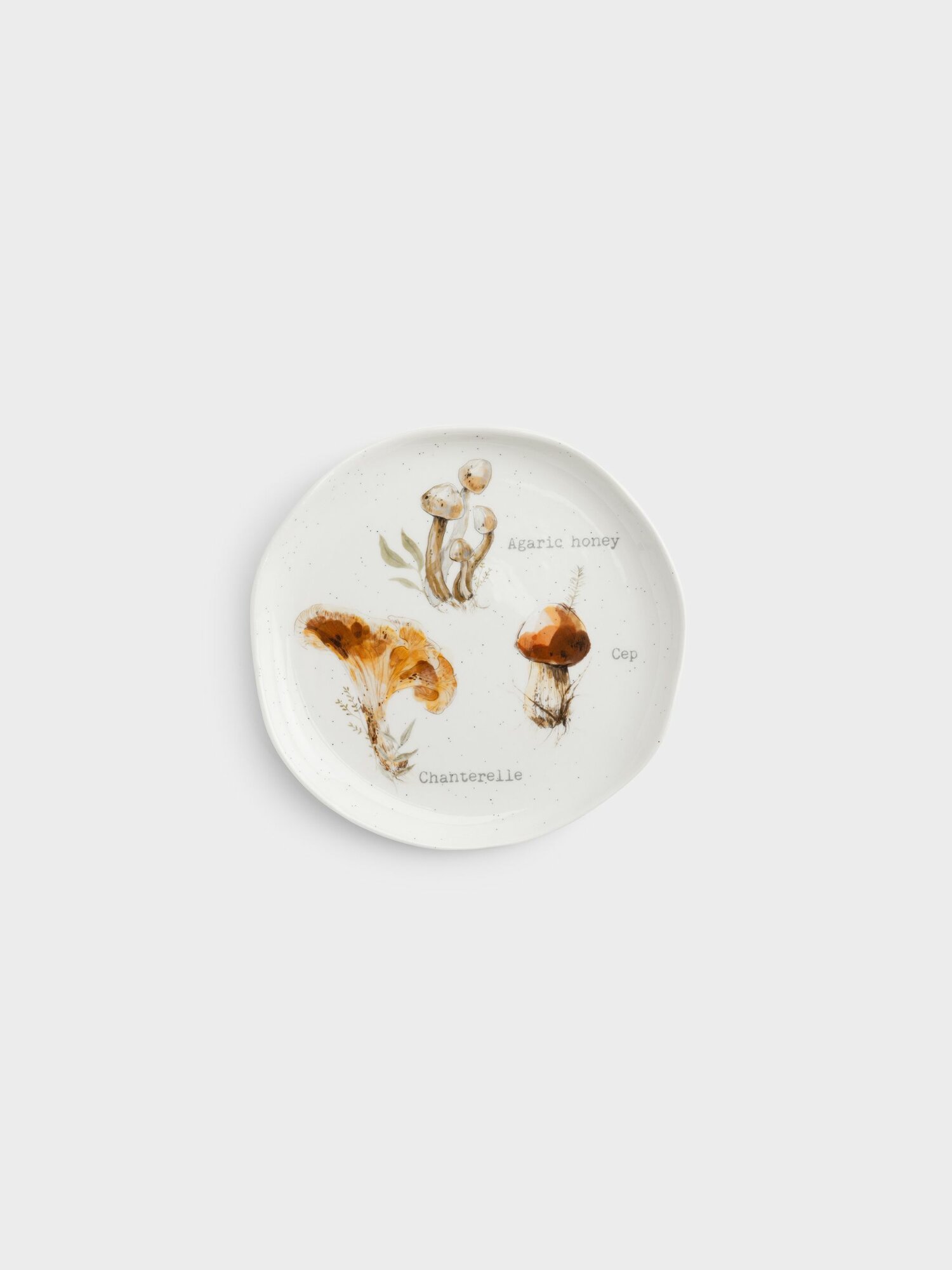 Тарелка закусочная, 19 см, фарфор N, молочная, Грибы, Autumn gifts, Kuchenland