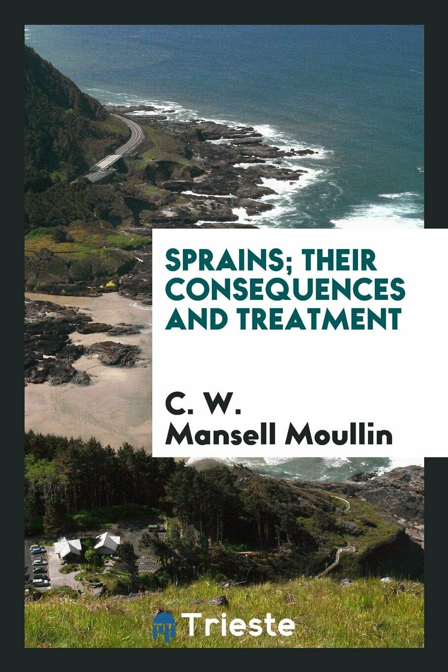 Sprains. their consequences and treatment