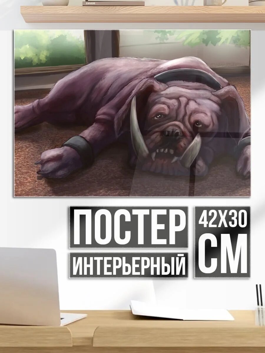 Плакат постер Спящий бульдог