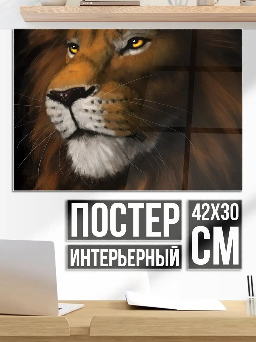 Плакат постер Портрет льва
