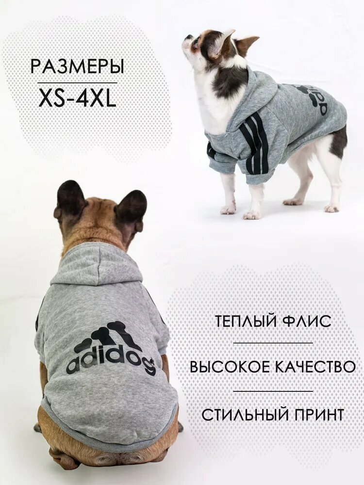 Одежда для животных — фото 1
