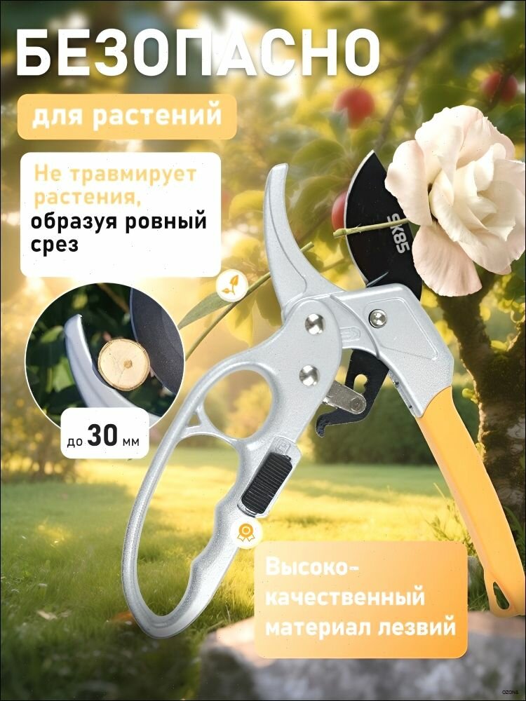 Секатор