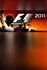 F1 2011, Все страны